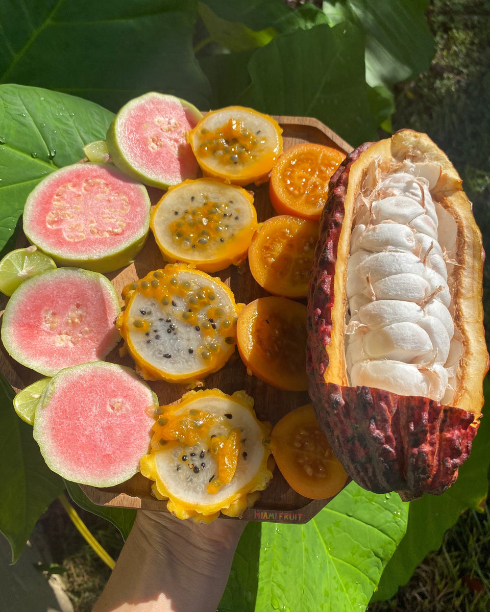 Mid August Harvest Update 🌈 – Miami Fruit