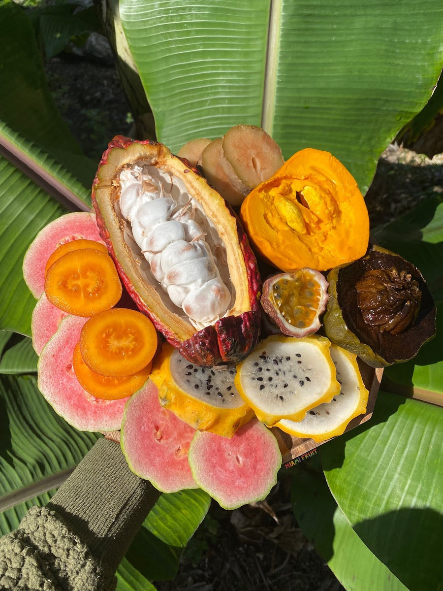 End of January Harvest Update 🌈 – Miami Fruit