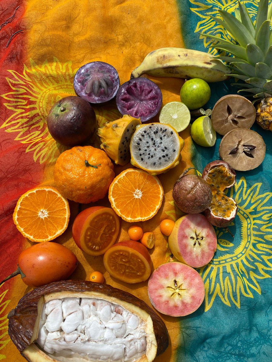 Harvest Update + what's in the variety boxes 📦 – Miami Fruit