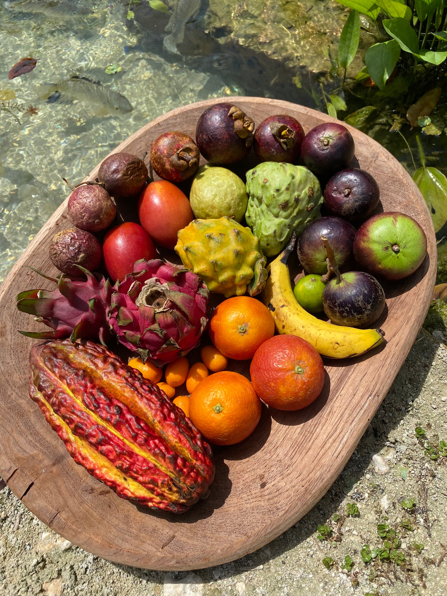 Late March Harvest Update 🌈 – Miami Fruit