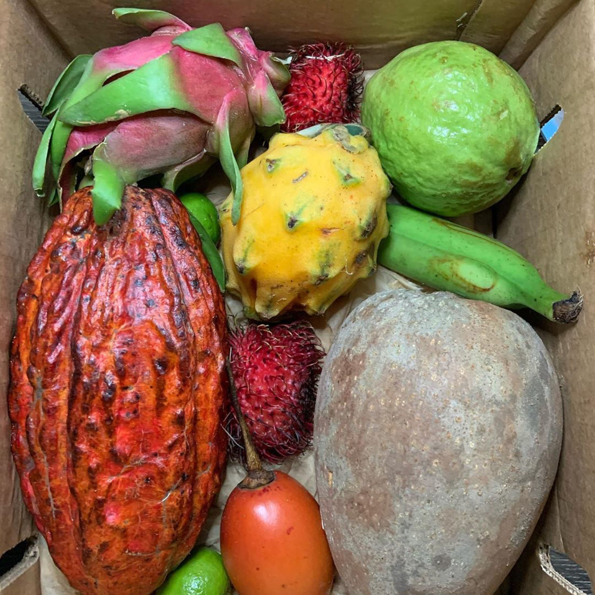 Exciting news + current sales 🌈 – Miami Fruit