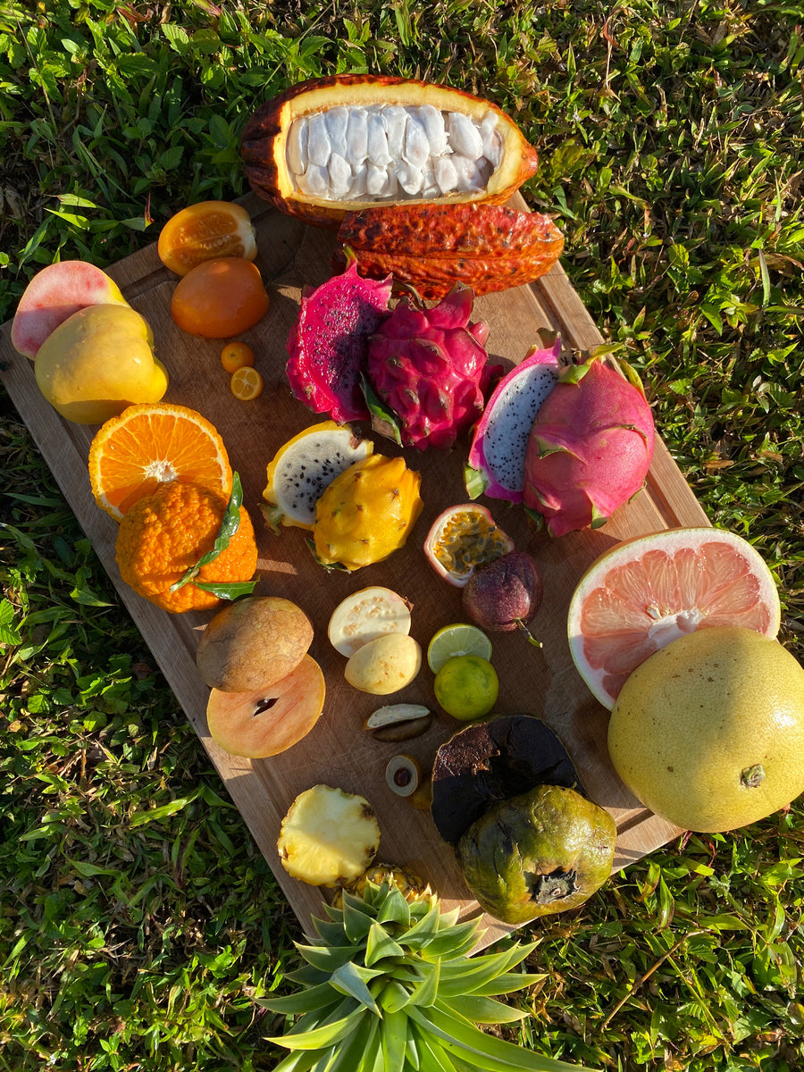 Harvest Update + what's in the variety boxes 📦 – Miami Fruit