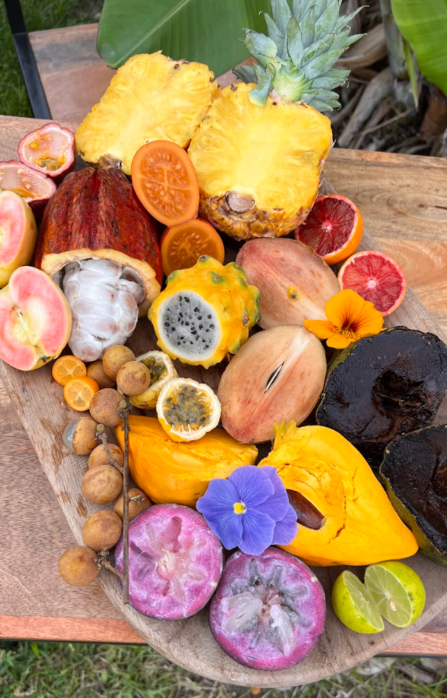 Mid January Harvest Update 🌈 – Miami Fruit