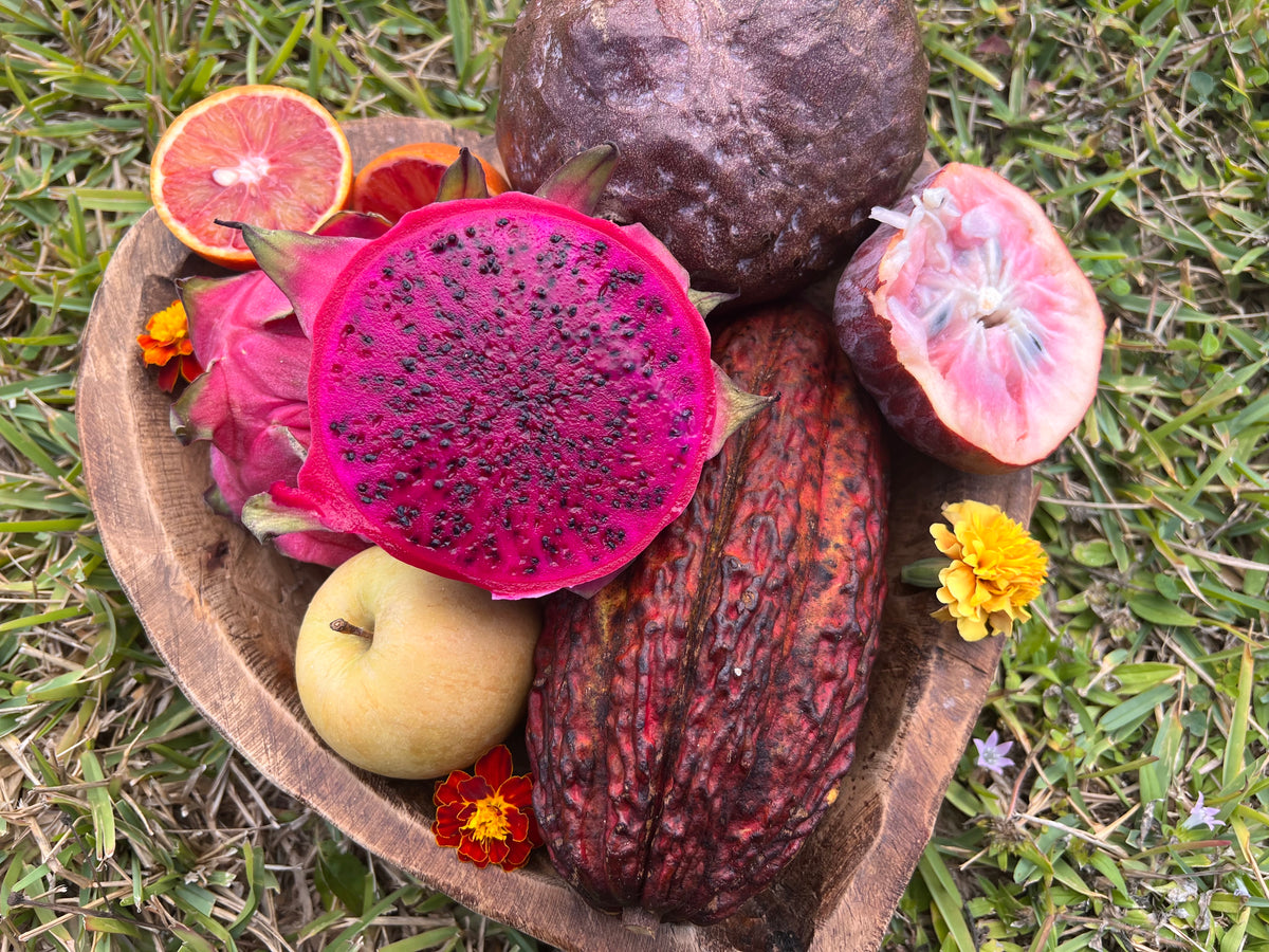 Valentine's Day Gift Guide 💝 – Miami Fruit