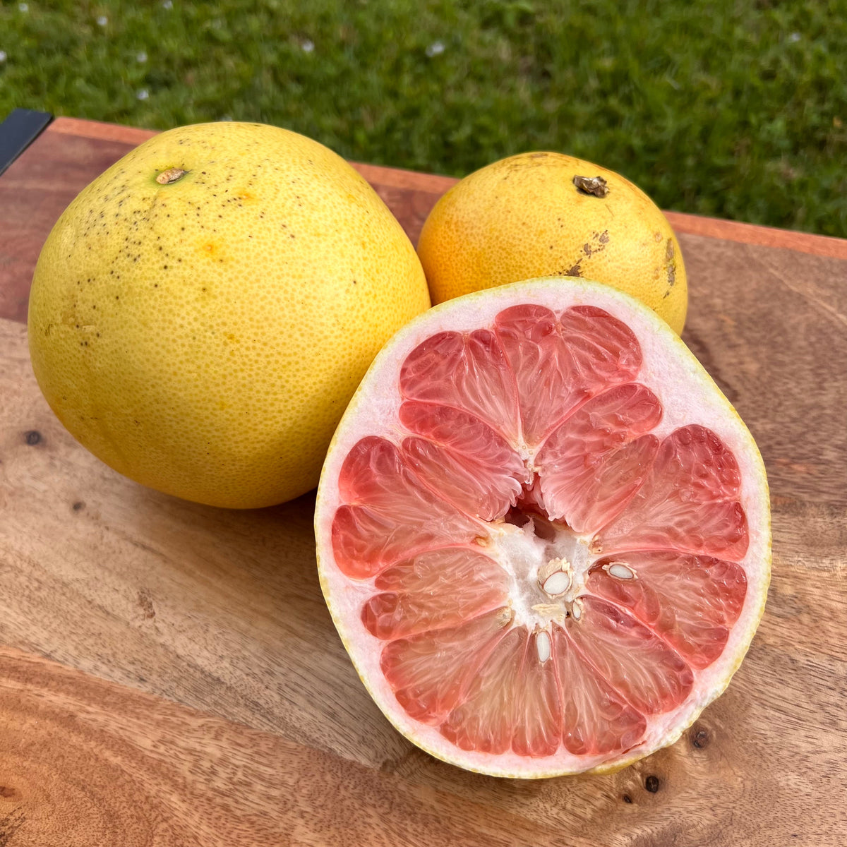 Fruit of the Week: Pomelo! 💛 🩷 – Miami Fruit