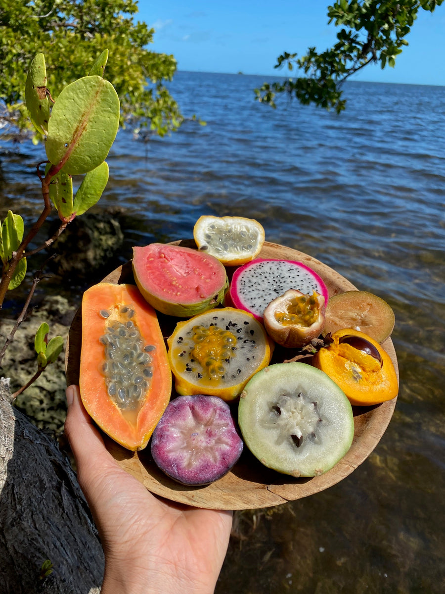 Leap Year SALE! 😍 29% off fresh fruit – Miami Fruit