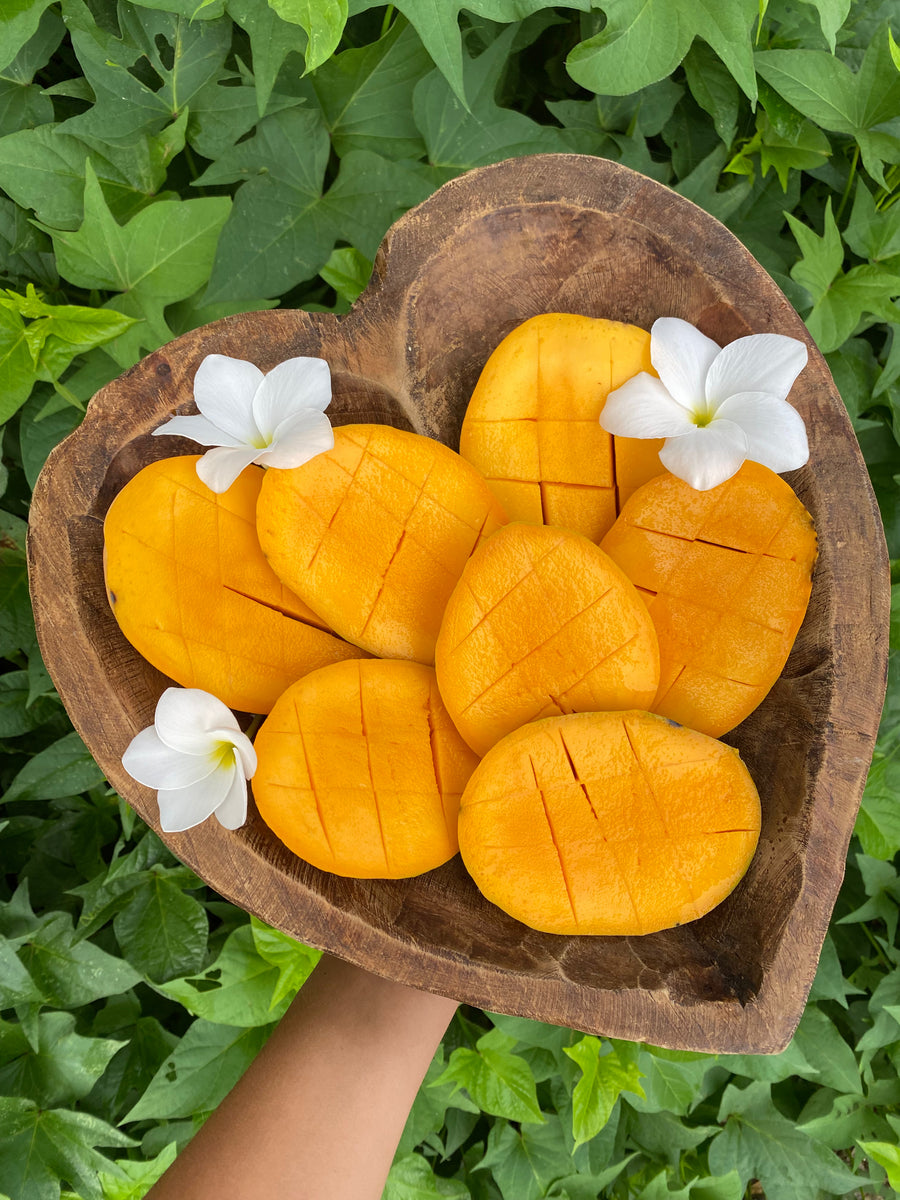 End of June Harvest Update 🌈 – Miami Fruit