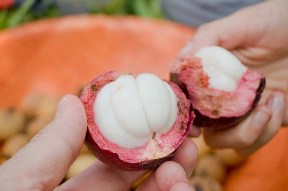 👑The KING AND QUEEN of fruits 💜 + more! – Miami Fruit