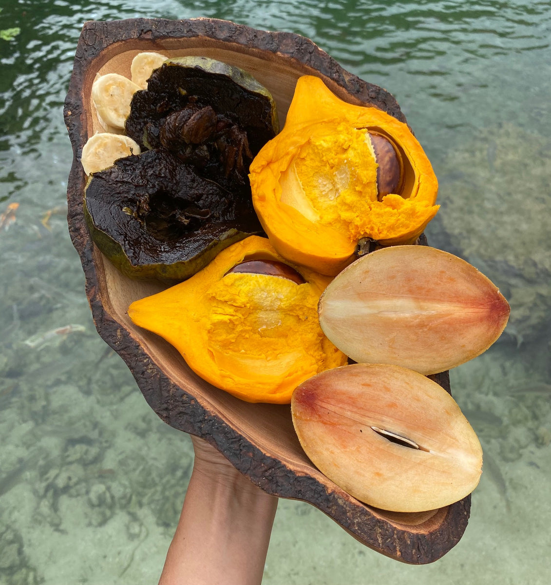 What's in this week's variety boxes + Harvest Update 🌈 – Miami Fruit