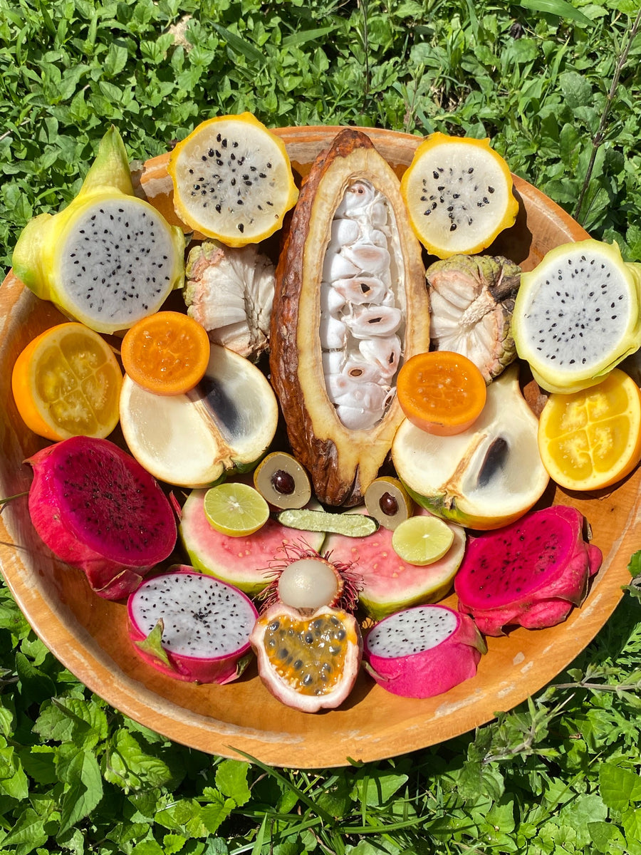 What's in season this week + more! 🌈 – Miami Fruit