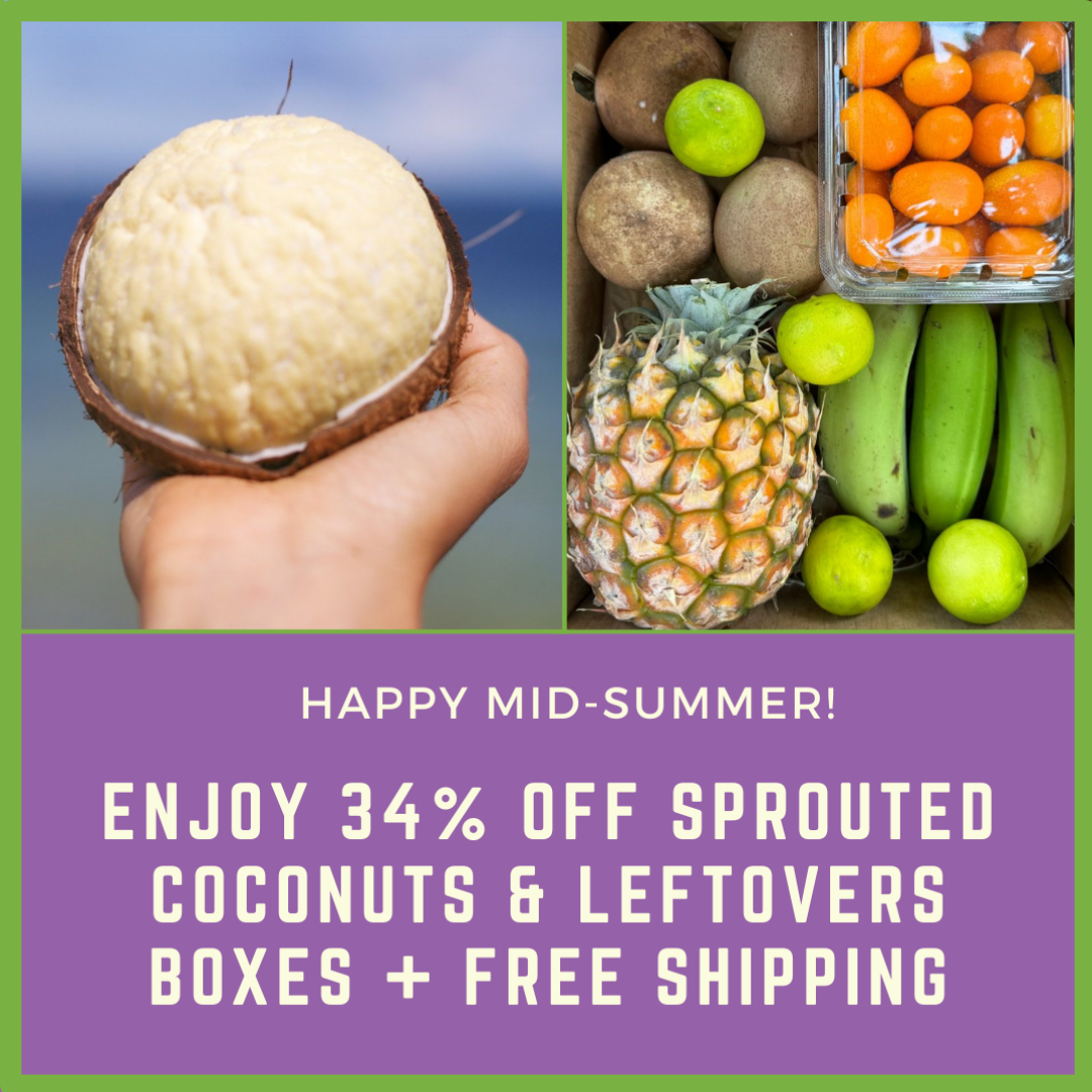 Final Call ⌛️ Mid-Summer SALE 🥥 – Miami Fruit
