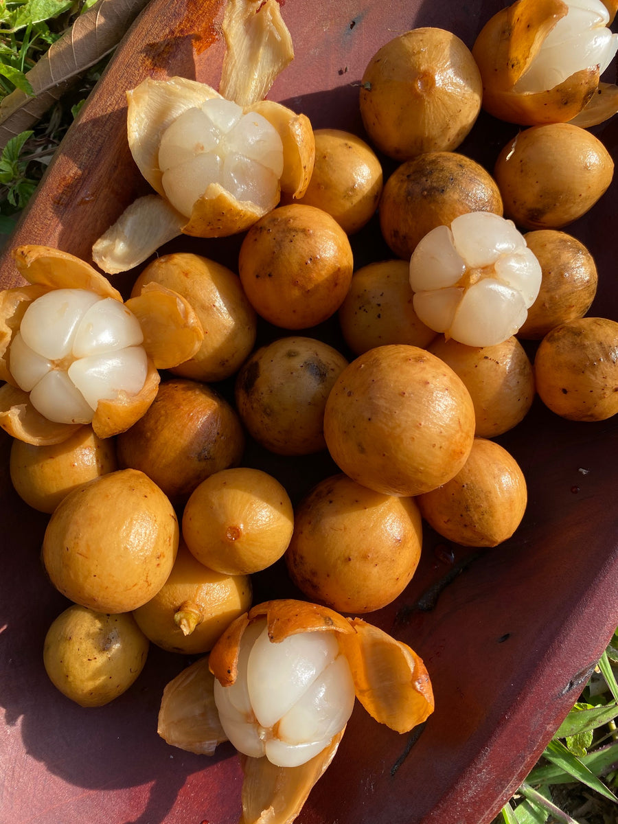 Frozen Langsat SALE 🌟 50% OFF – Miami Fruit