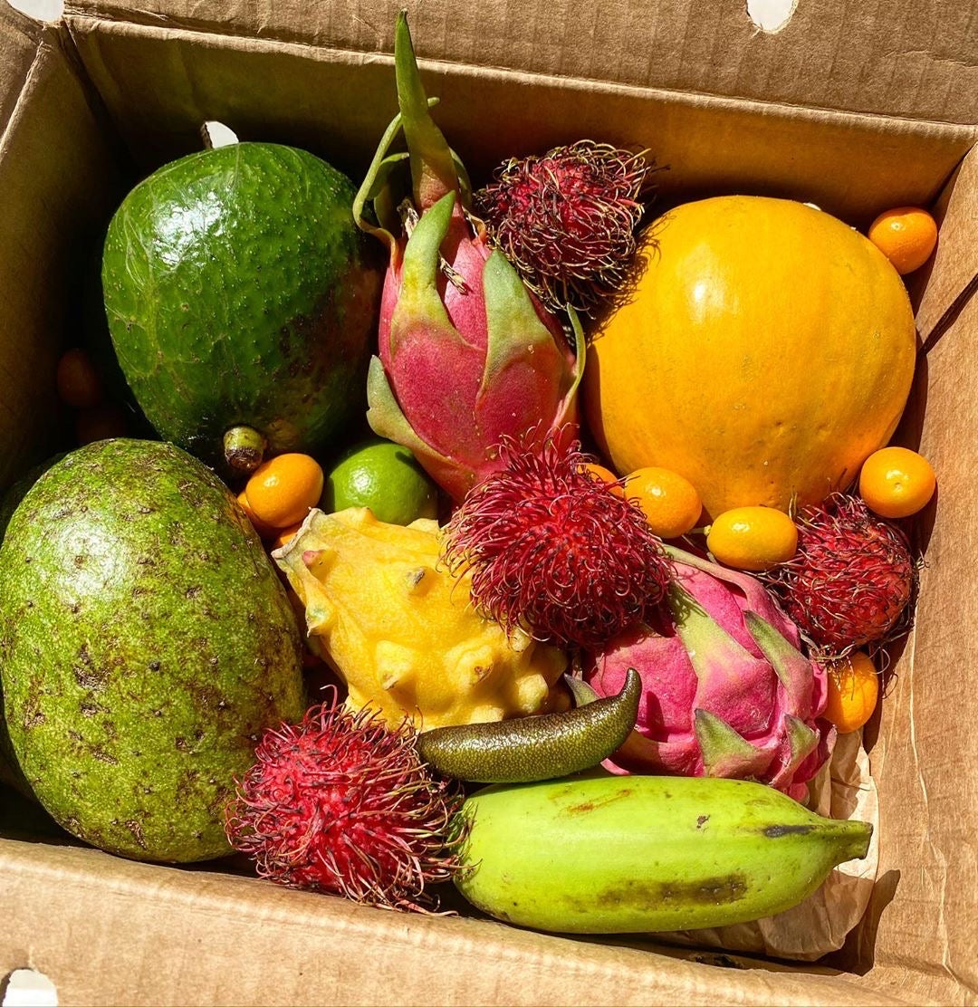 What's in season right now 🌈 – Miami Fruit