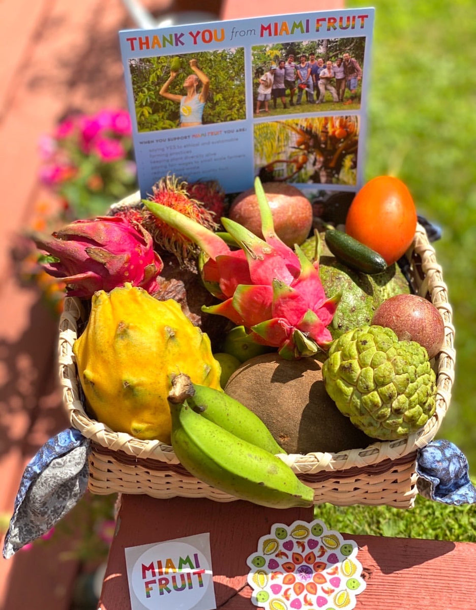 Mid-August Harvest Update 🌳 – Miami Fruit