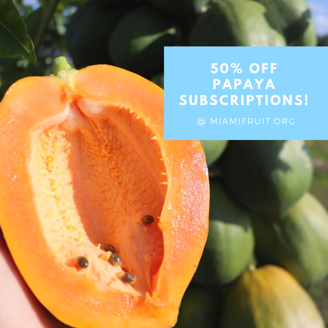 🧡50% off papaya subscriptions! – Miami Fruit