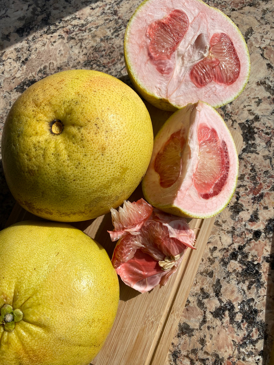 Pomelo season is starting! 🌳 – Miami Fruit