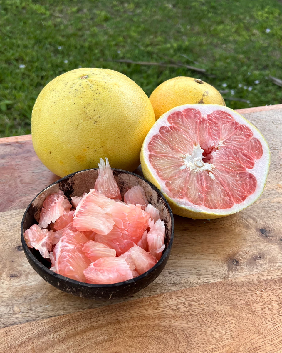 30% off pomelo 💛 SALE – Miami Fruit
