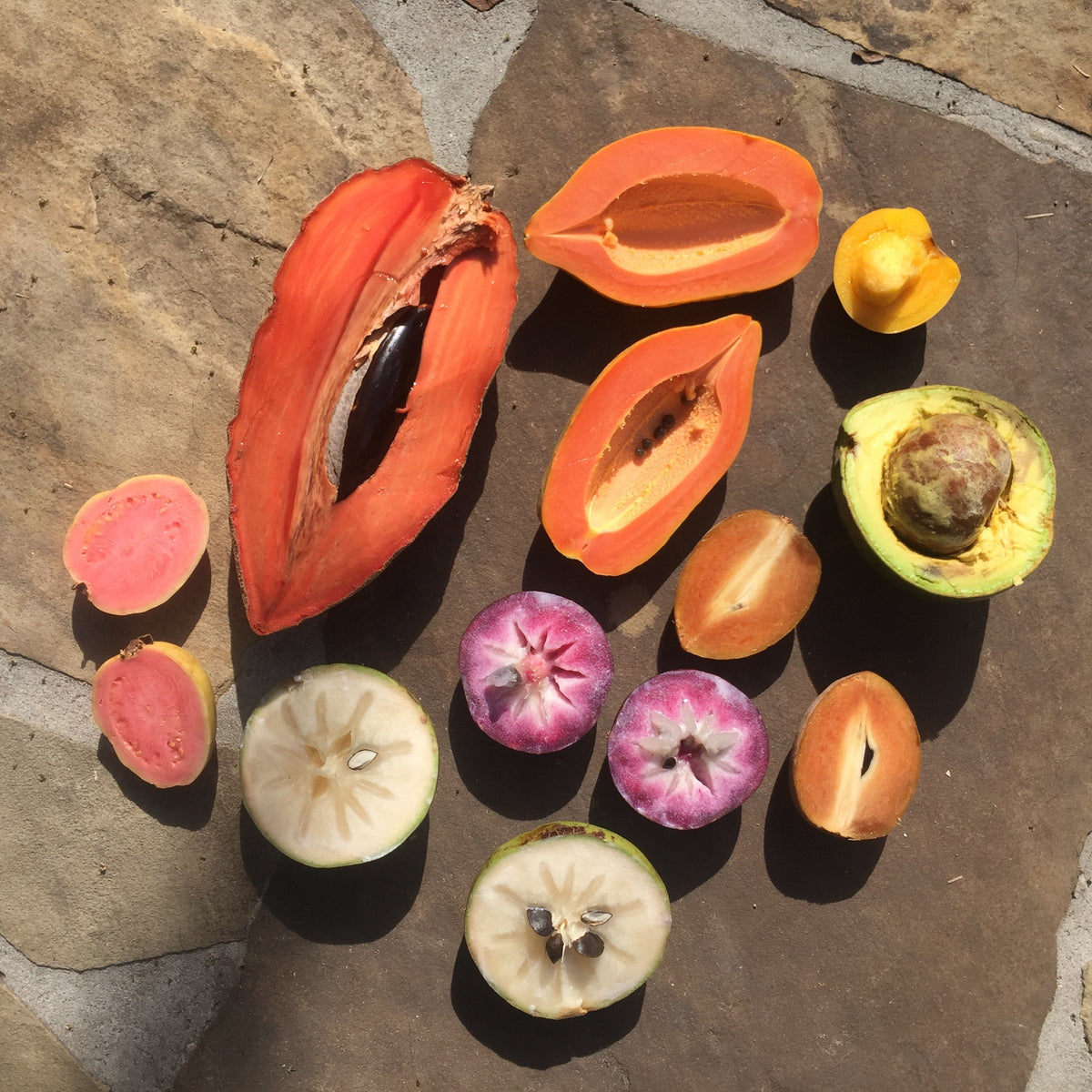 🌱Spring Clean your diet + Early May Harvest Update 🌸 – Miami Fruit