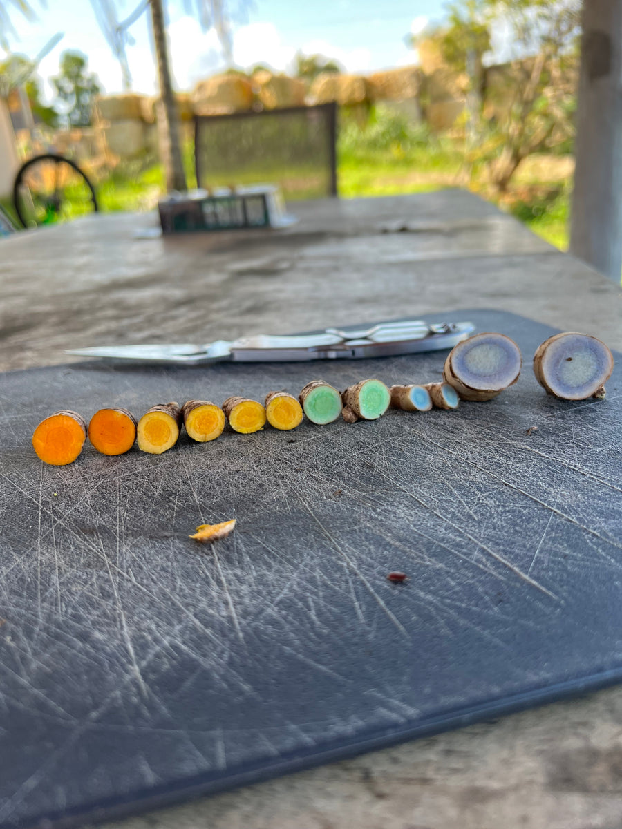 Introducing the Rainbow Turmeric Box 🌈 – Miami Fruit