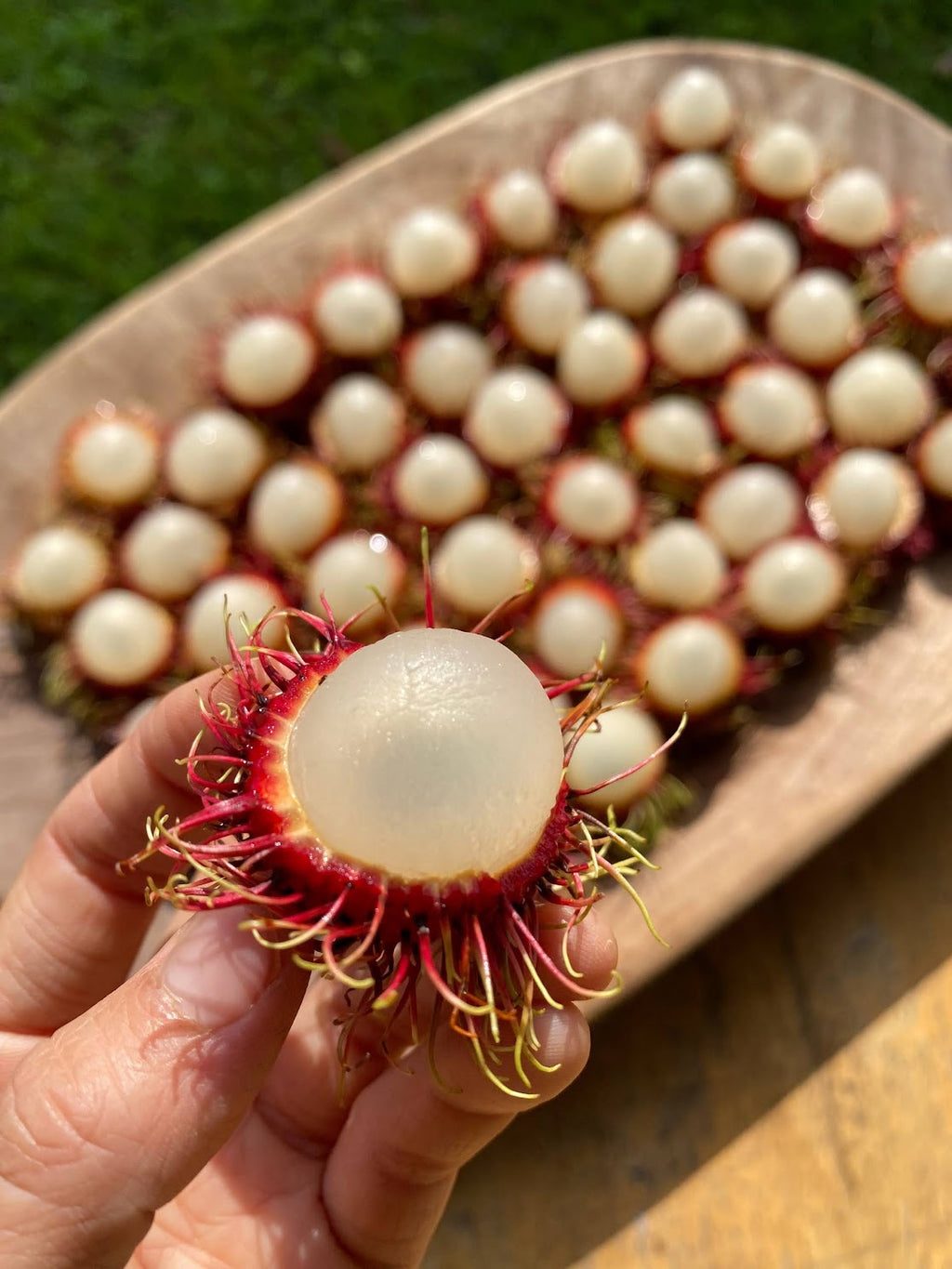 Rambutan Brown