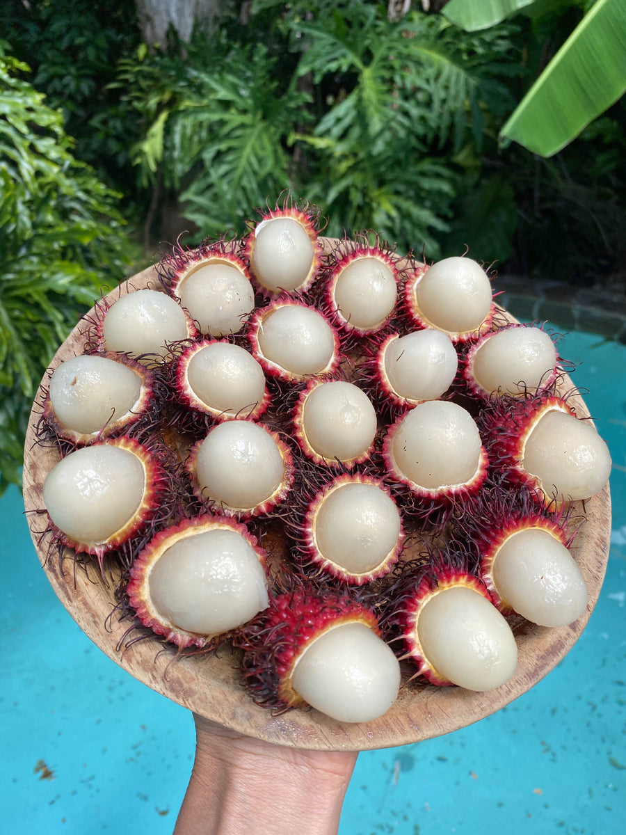 FREE small rambutan box 😍 BOGO SALE – Miami Fruit