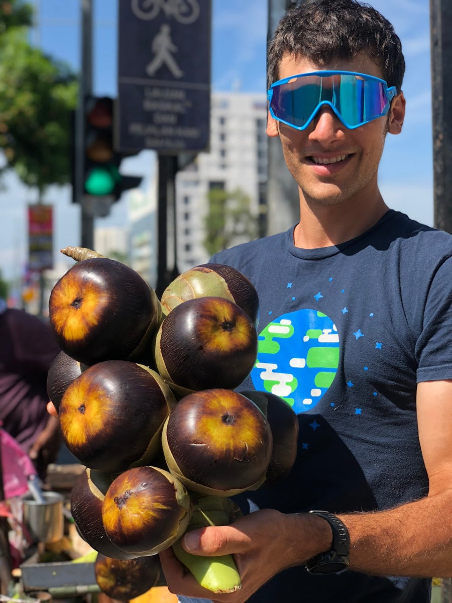 New Fruit Available 🚨Ice Apple aka Toddy Palm Fruit – Miami Fruit