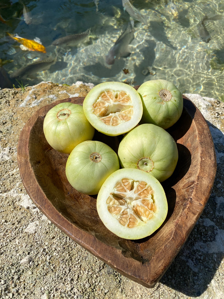 New Fruit Alert! 🚨 Sakata Sweet Melon 🍈 – Miami Fruit