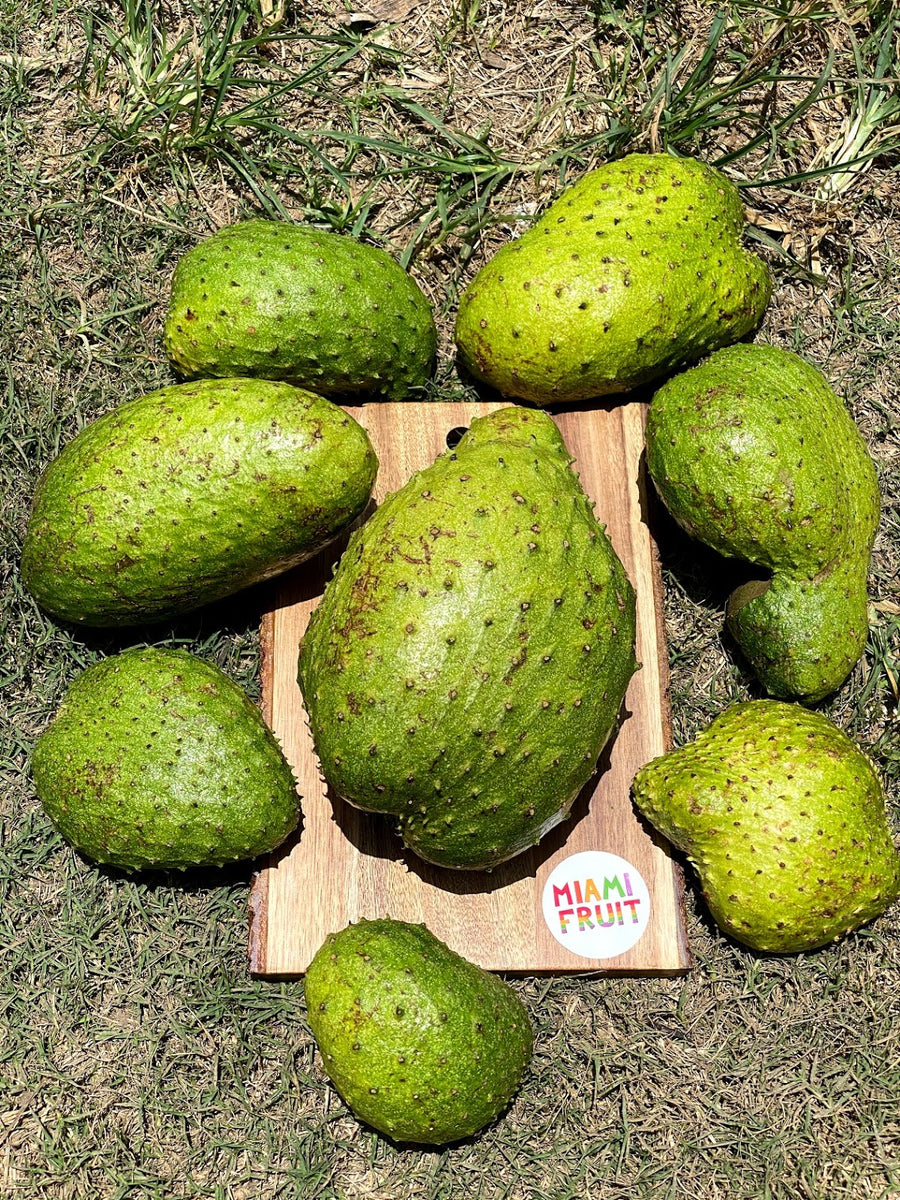 Soursop Flash SALE 💚 $22 off – Miami Fruit