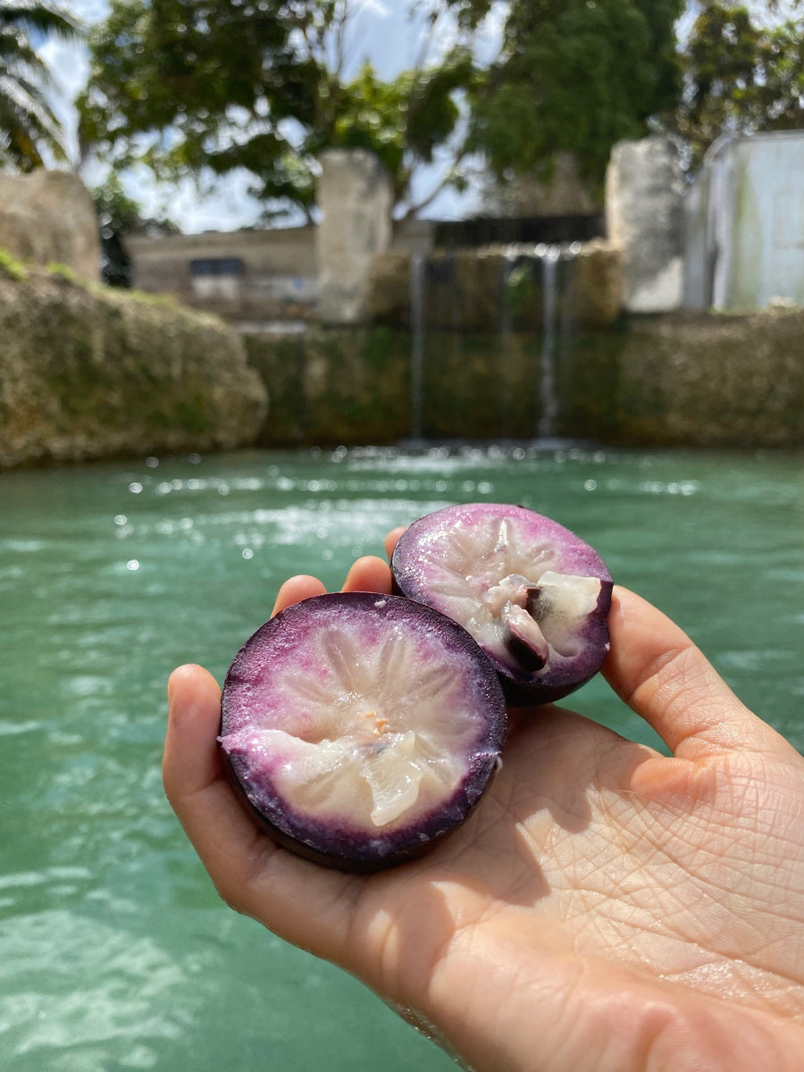 50% off star apple boxes! ⭐️ – Miami Fruit