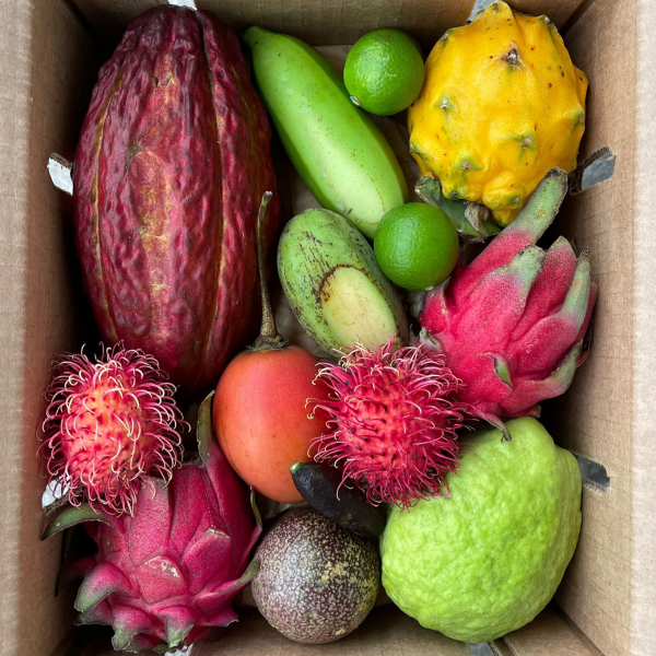 Fresh Fruit – Miami Fruit