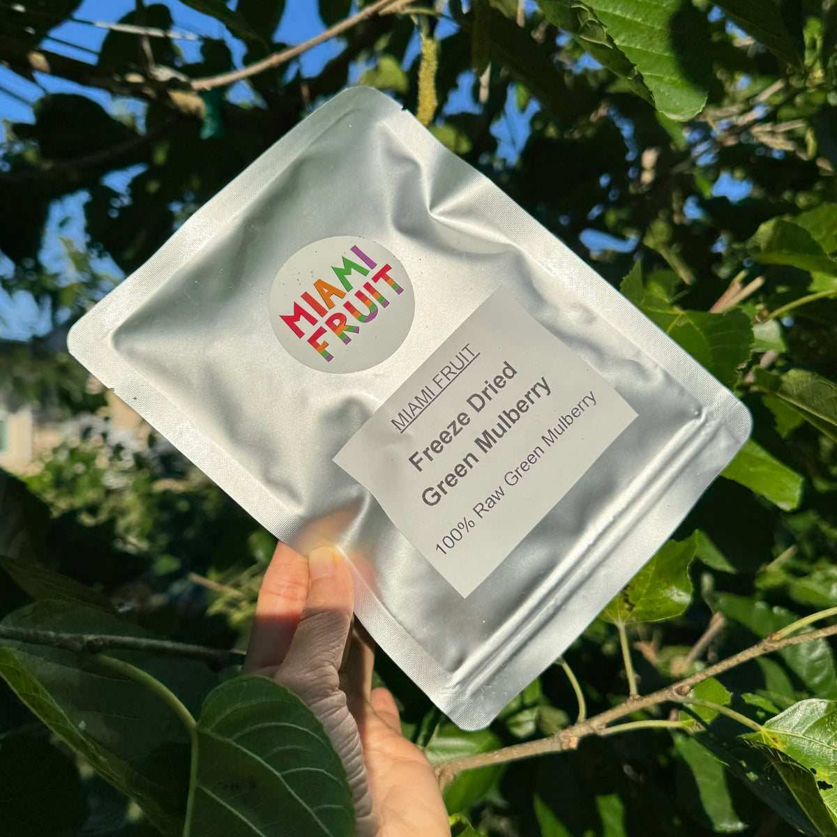 Freeze Dried Sweet Green Mulberry – Miami Fruit