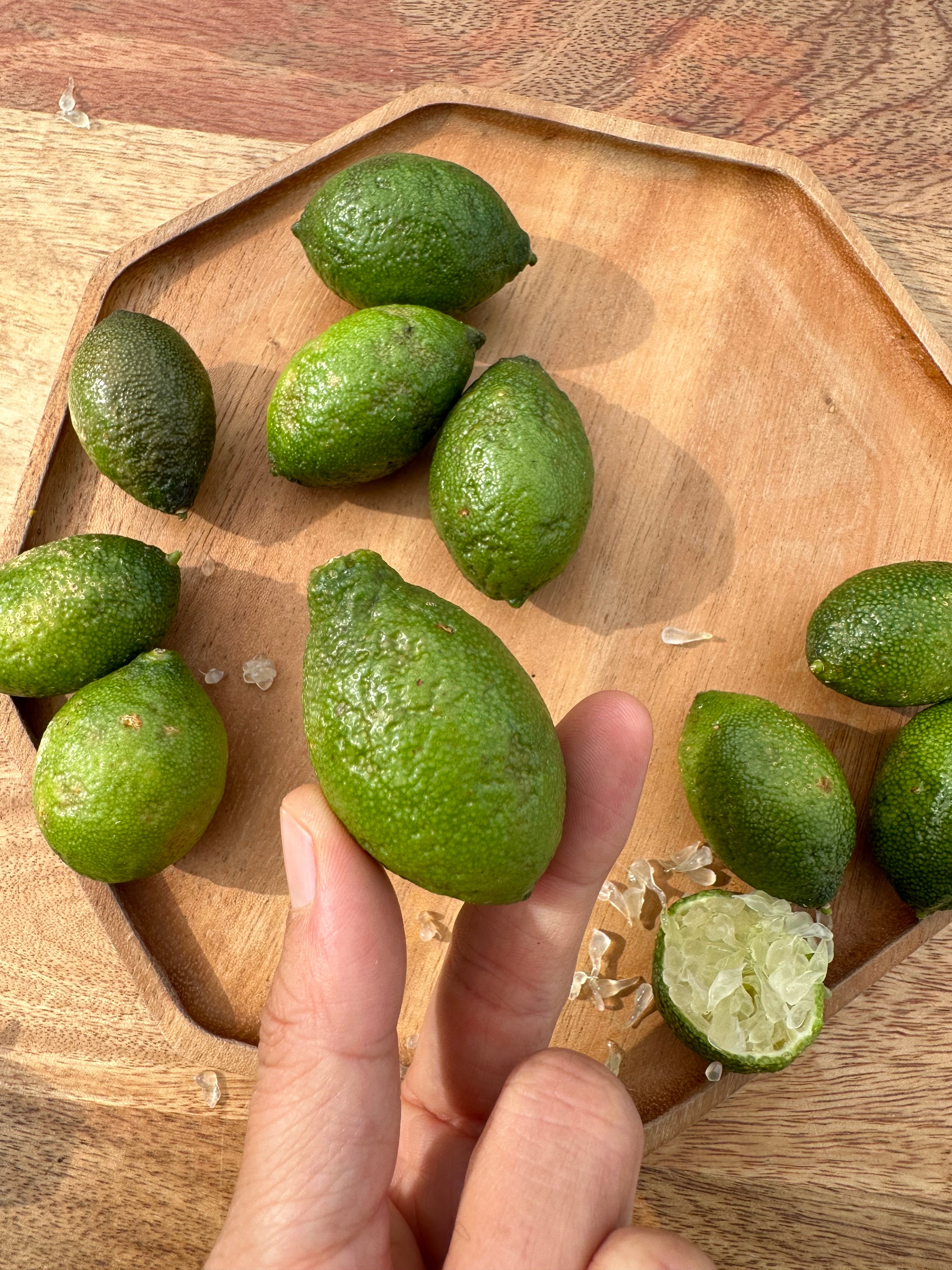 Caviar Lime (Finger Lime) – Miami Fruit
