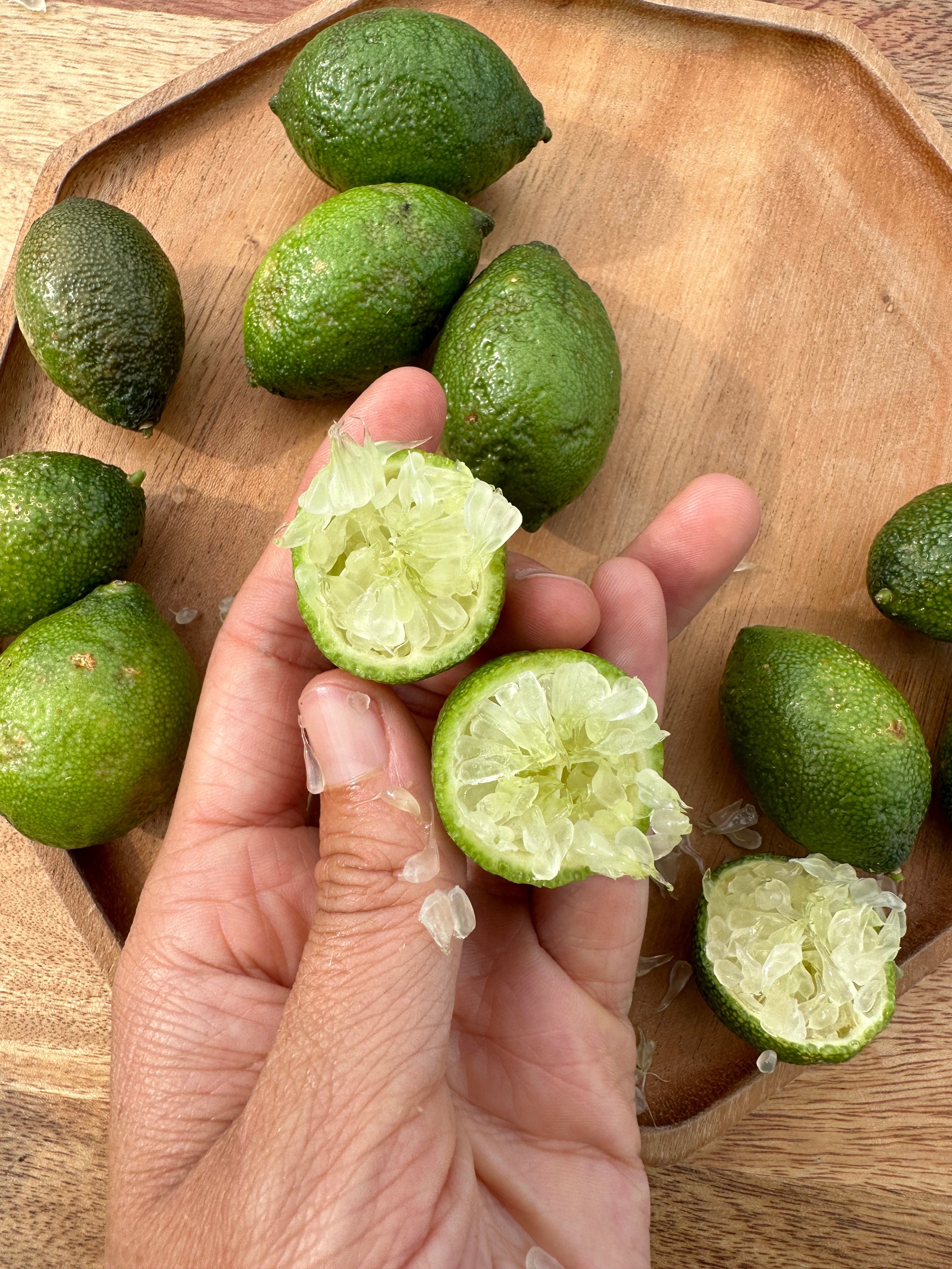 Caviar Lime (Finger Lime) – Miami Fruit