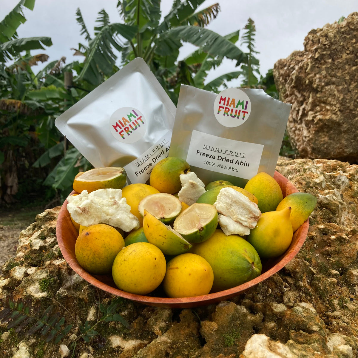 Freeze Dried Abiu – Miami Fruit