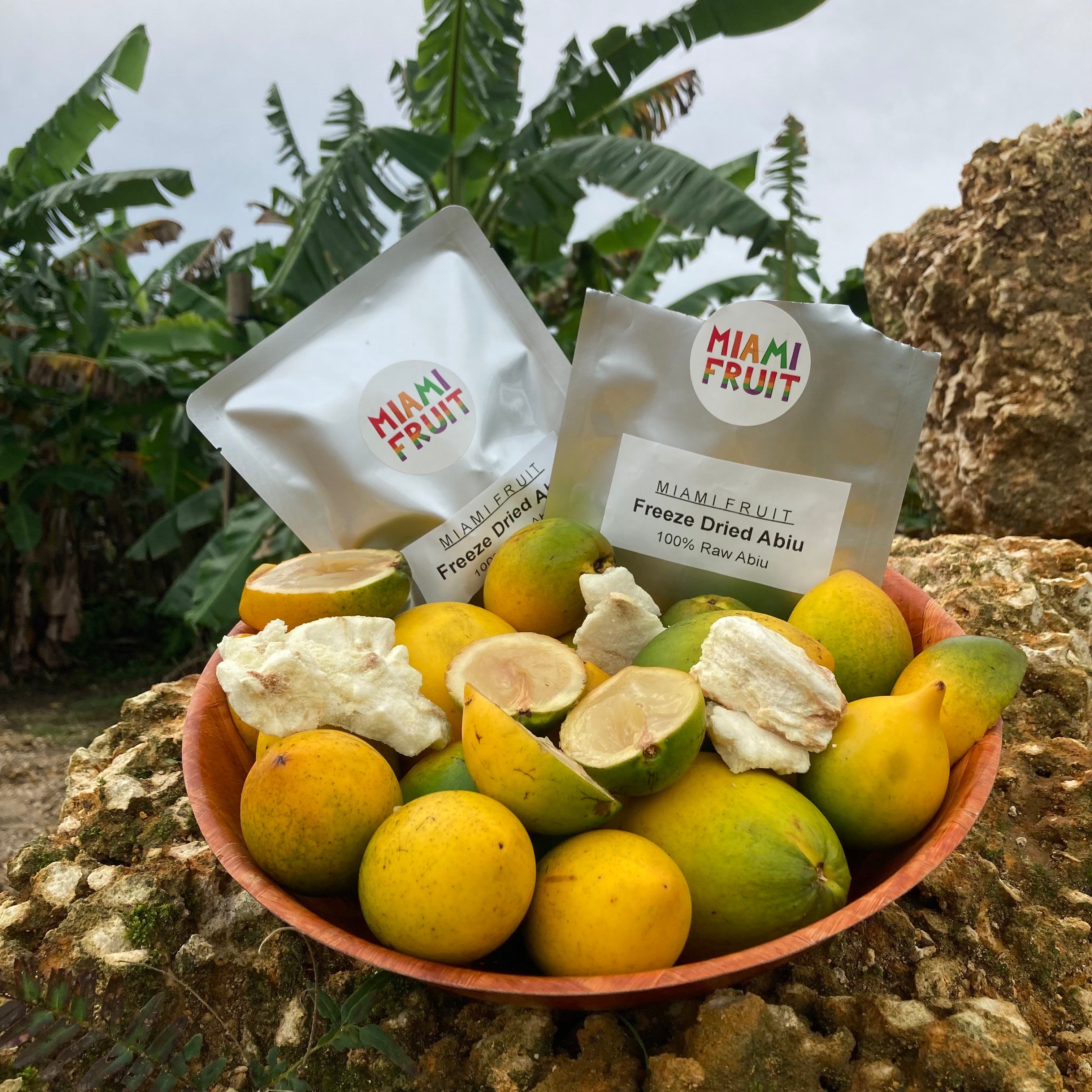 Freeze Dried Abiu – Miami Fruit