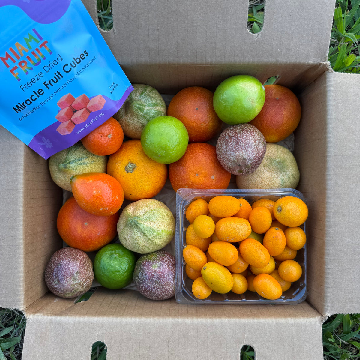 Miracle Party Box – Miami Fruit