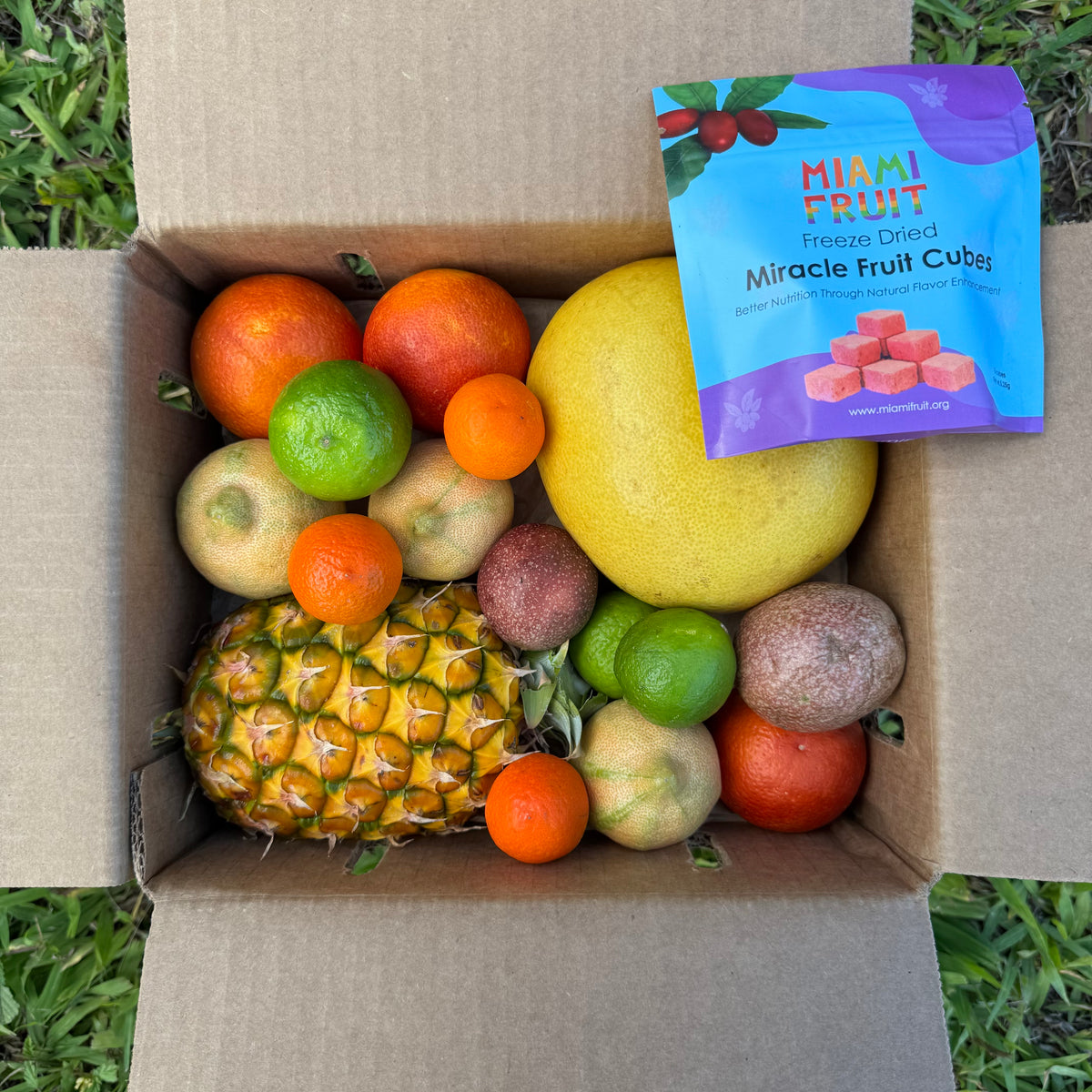 Miracle Party Box – Miami Fruit