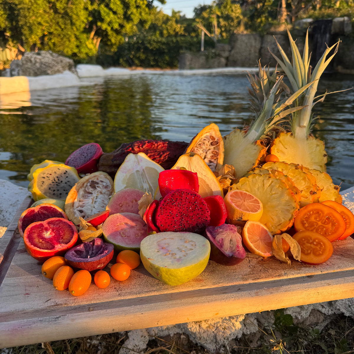 Ready-to-Eat Tropical Fruit Box – Miami Fruit