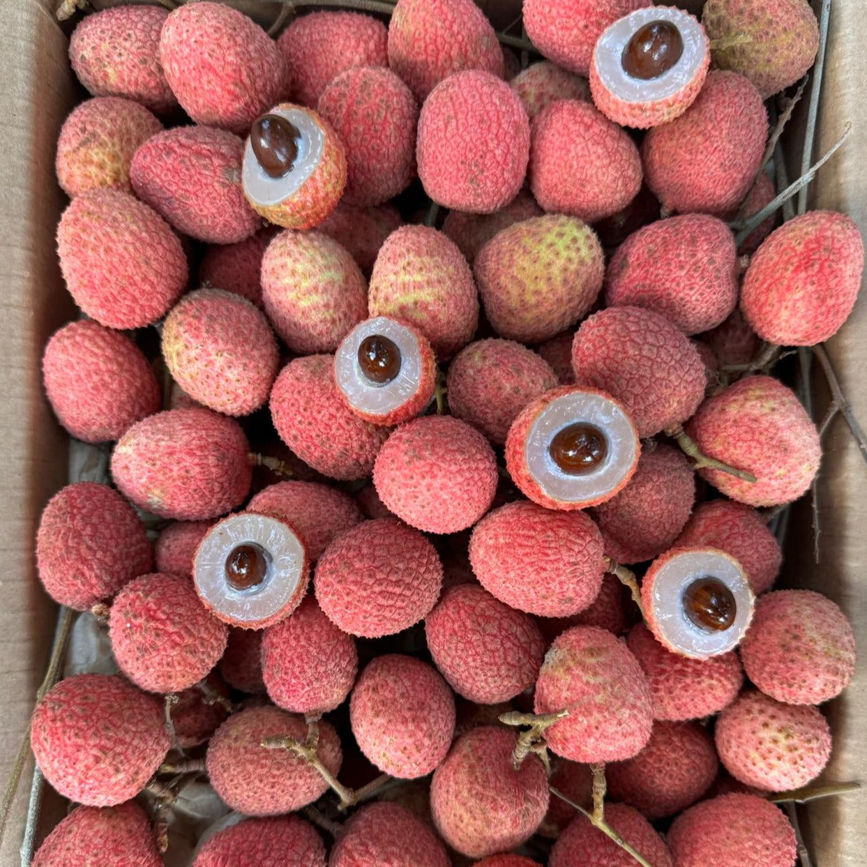 Lychee - Mauritius Variety *Pre-Order* – Miami Fruit