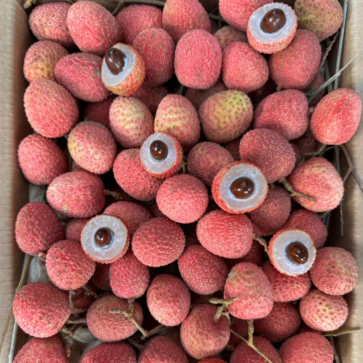 Lychee - Mauritius Variety *Pre-Order* – Miami Fruit