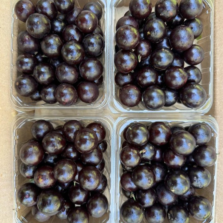 Jaboticaba - Buy Jaboticaba online from Miami Fruit
