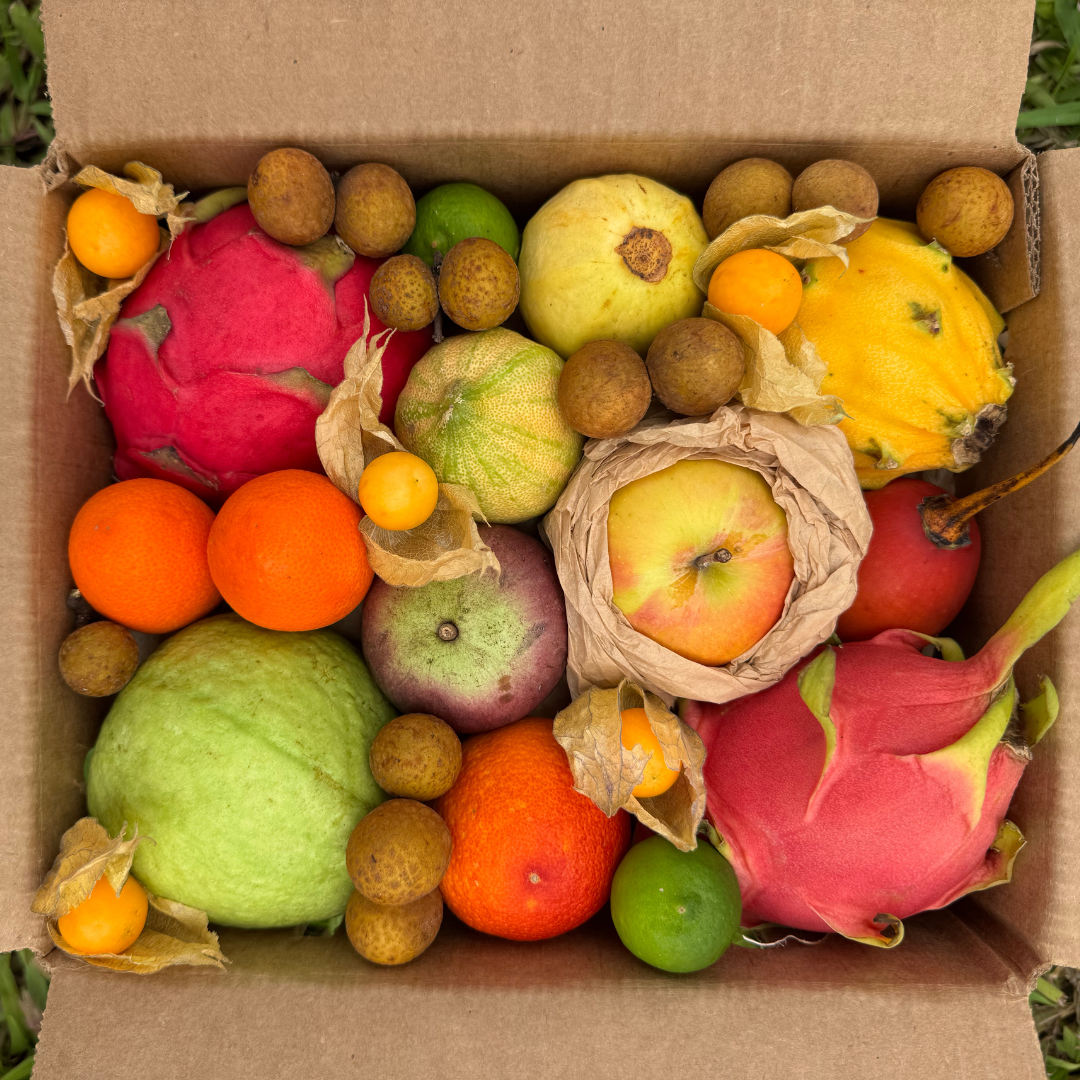 Ready-to-Eat Tropical Fruit Box – Miami Fruit