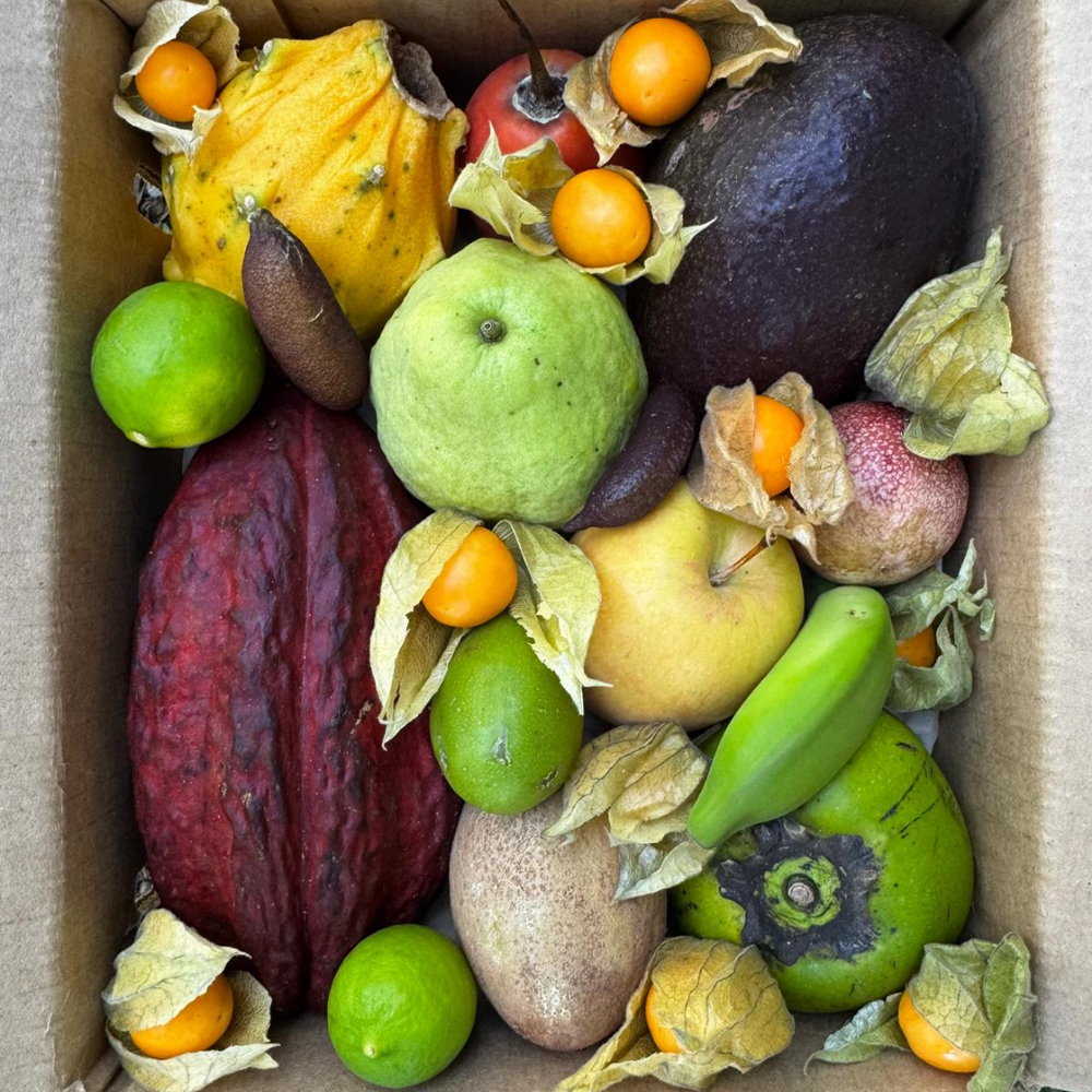 What's in Season | Tropical Fruit Boxes | Miami Fruit