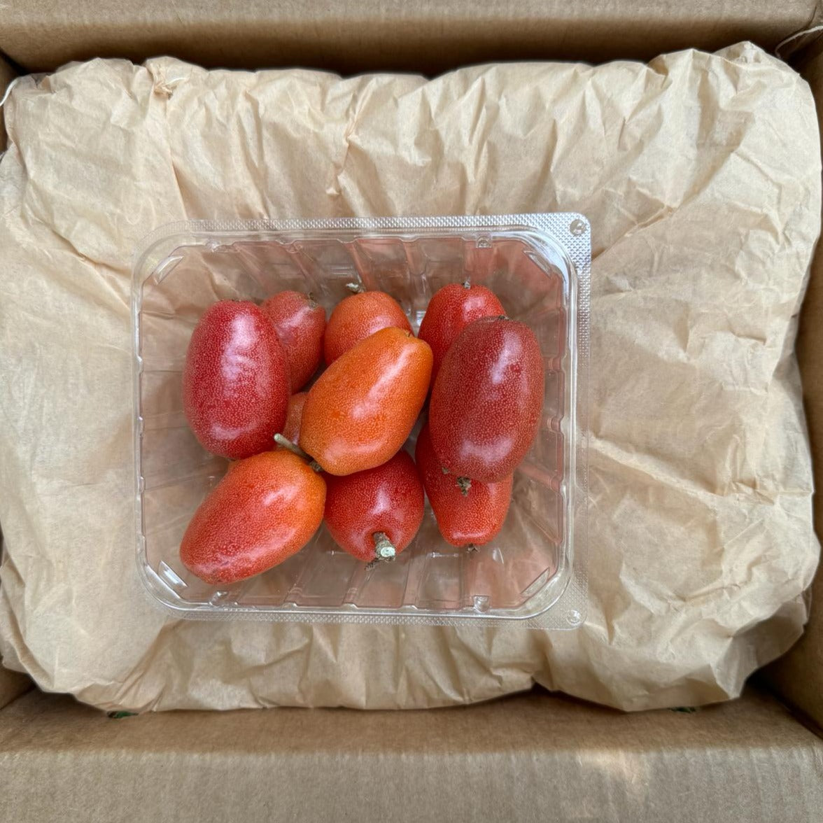 Silverberry *Pre-Order* – Miami Fruit