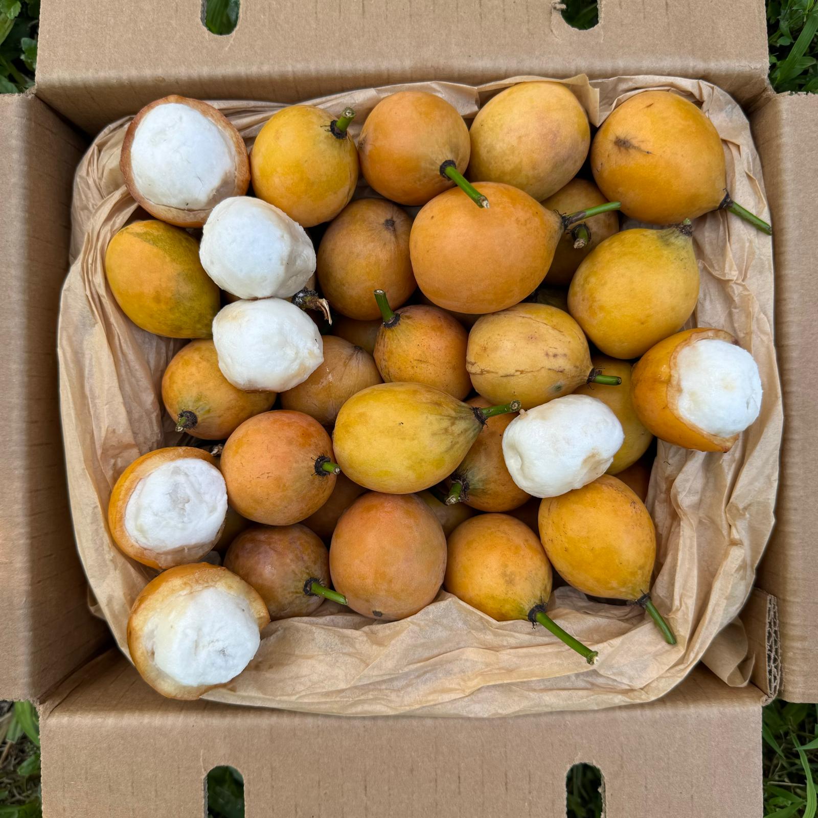 Achacha Fruit - Buy fresh Achachairú online from Miami Fruit