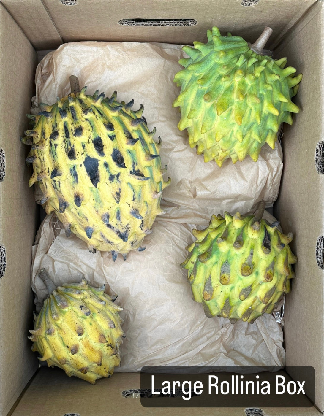 Rollinia Box *Pre-Order* – Miami Fruit