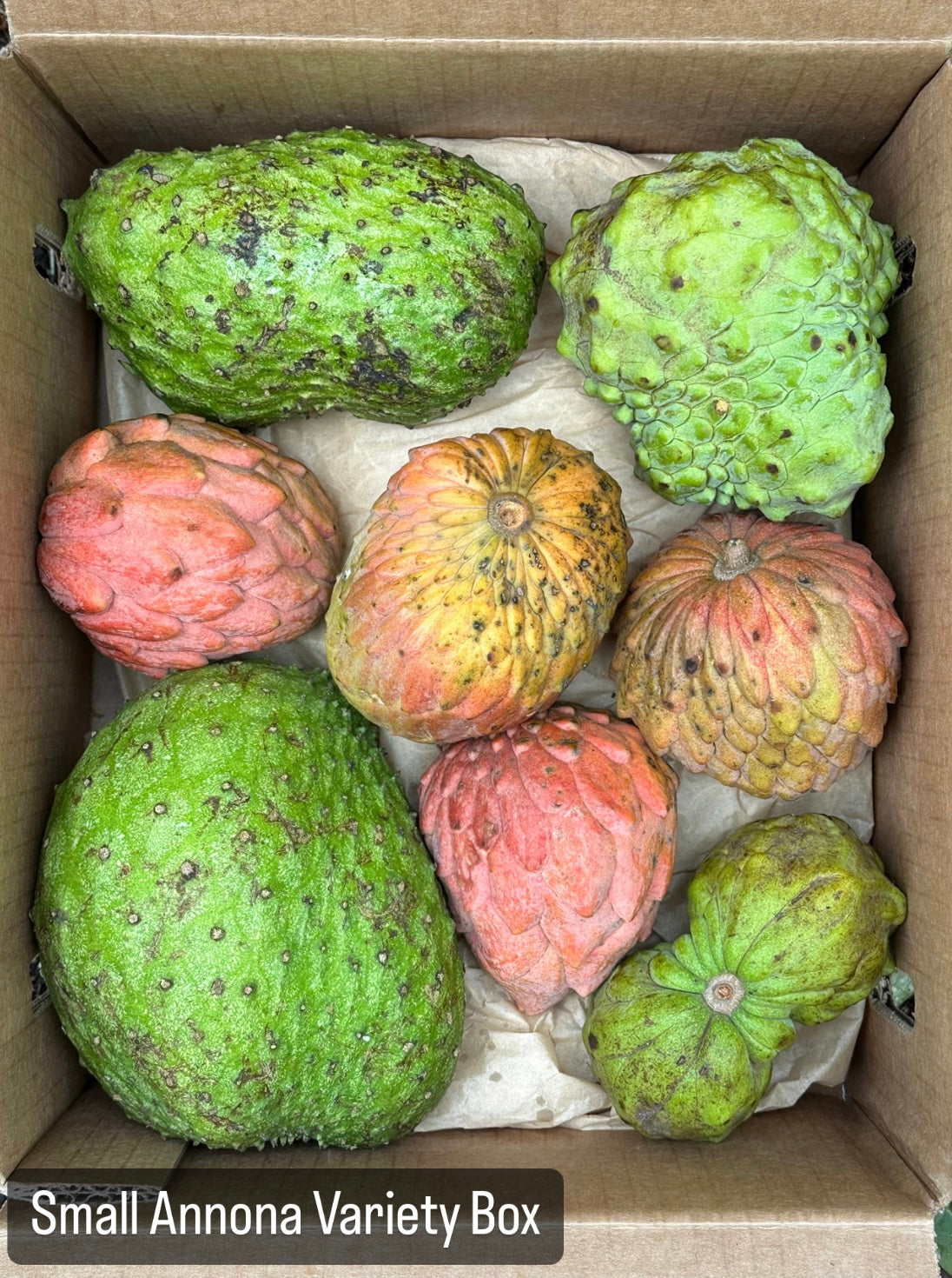 Annona Variety Box – Miami Fruit