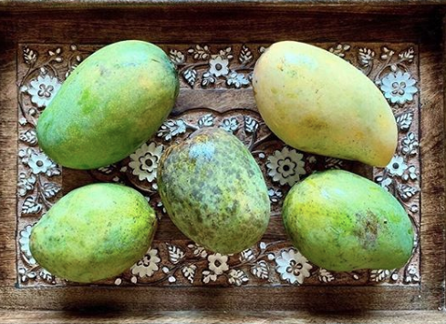 Mango - Buy USA Grown Mango Online from Miami Fruit