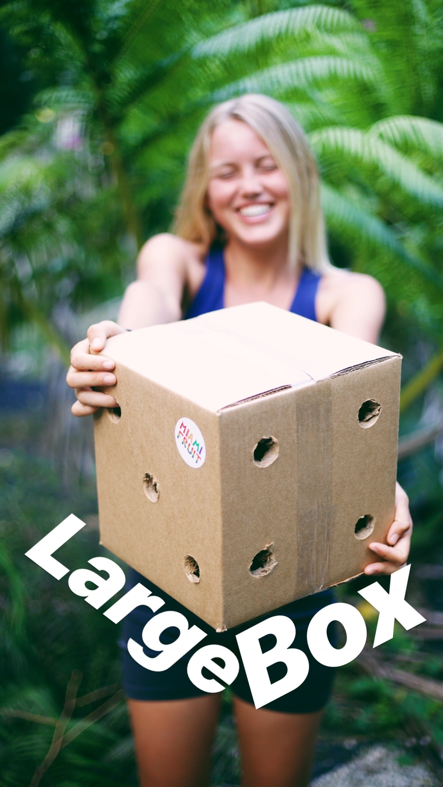 Cuban Red Banana *PRE-ORDER* – Miami Fruit