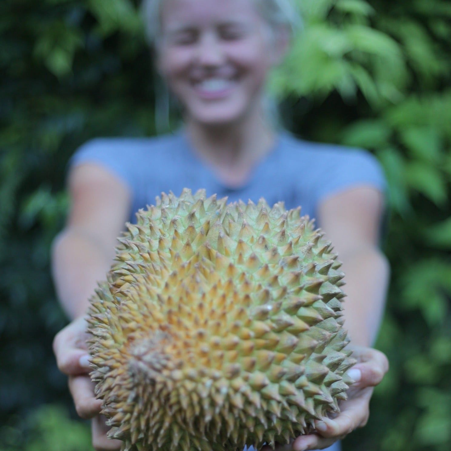 Fresh Durian - Buy fresh Durian online from Miami Fruit